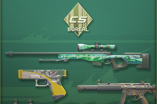 Все скины The Boreal Collection - Legalbet.gg